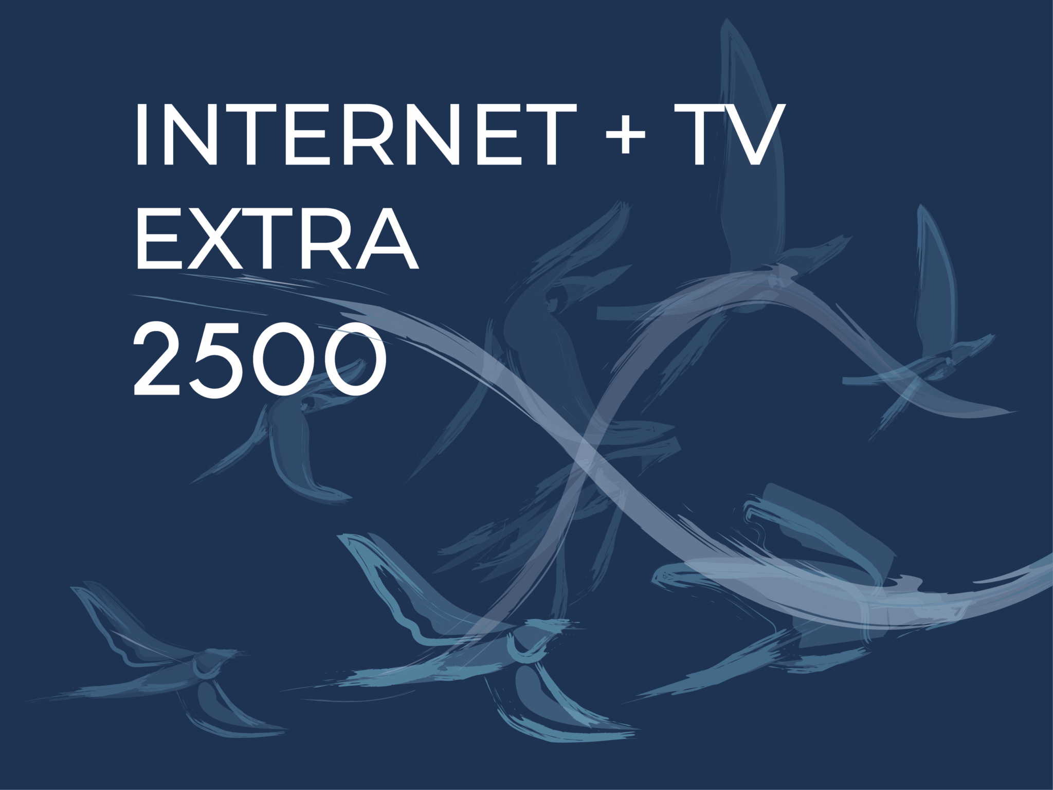 Árak - Internet és TV csomagok - Internet, TV, Telefon | Flynet | 25 ...